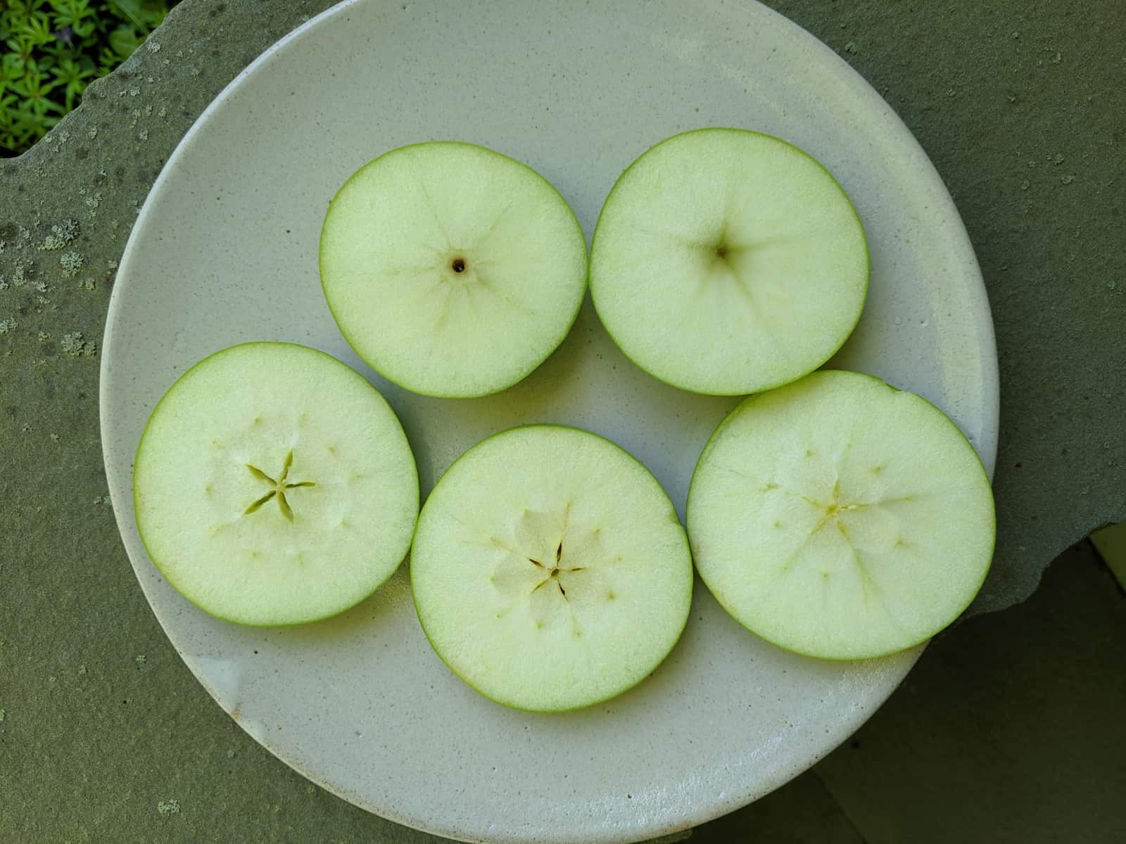 Apples and Five-Fold Symmetry – How To Speak Machine 📘: Computational ...