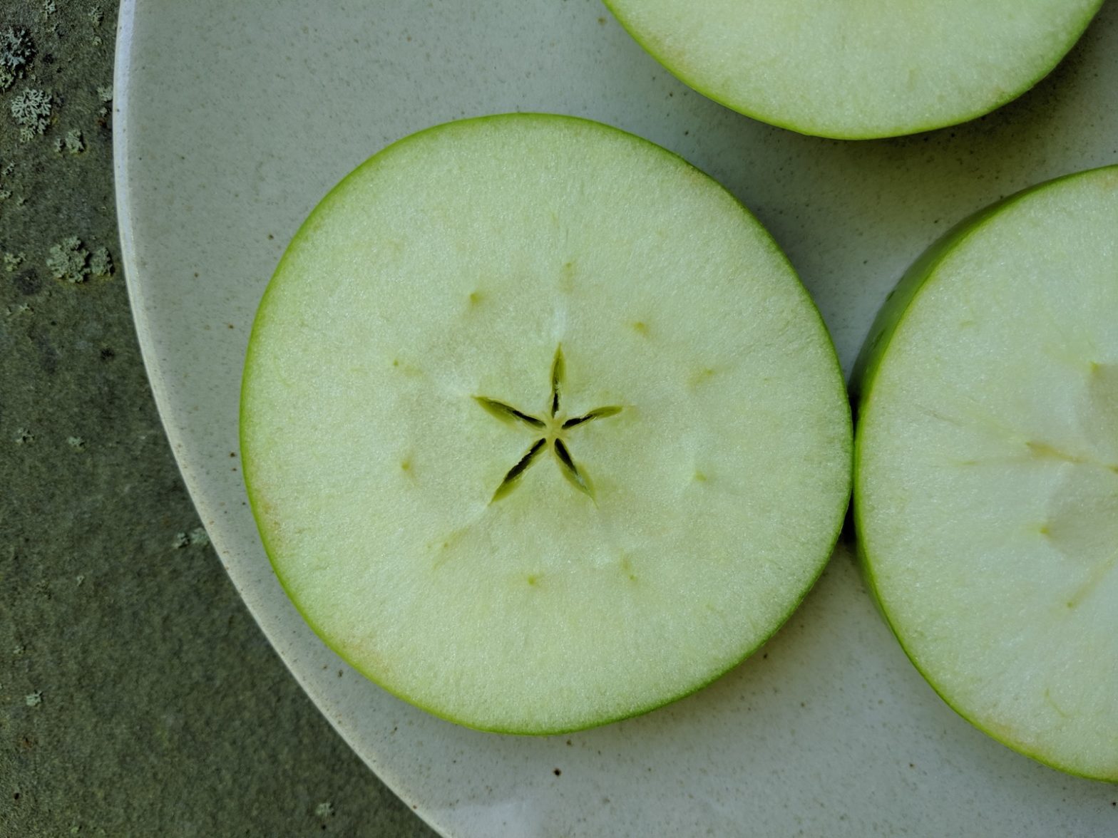 Apples and Five-Fold Symmetry – How To Speak Machine 📘: Computational ...